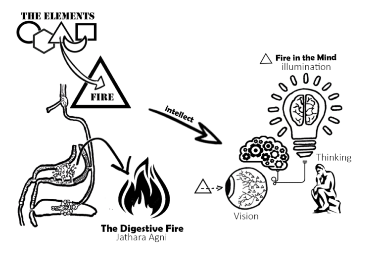 Panchamahabhutas ~ The 5 Great Elements - Healthy Ayurveda