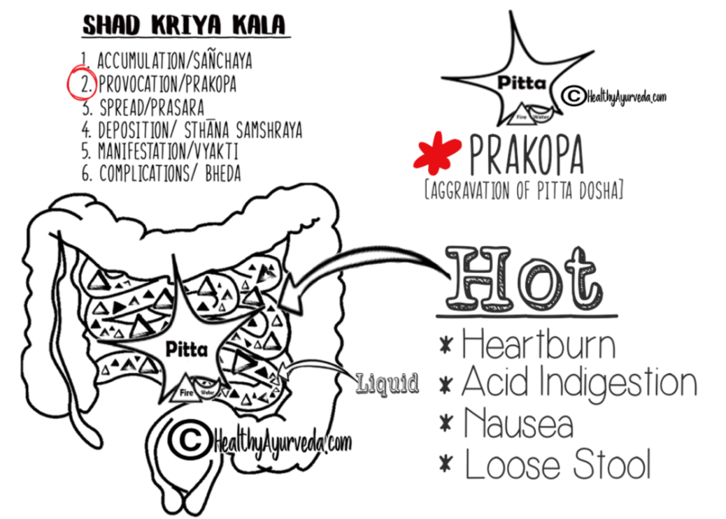 The Ayurveda Guide: Pitta Dosha - Healthy Ayurveda