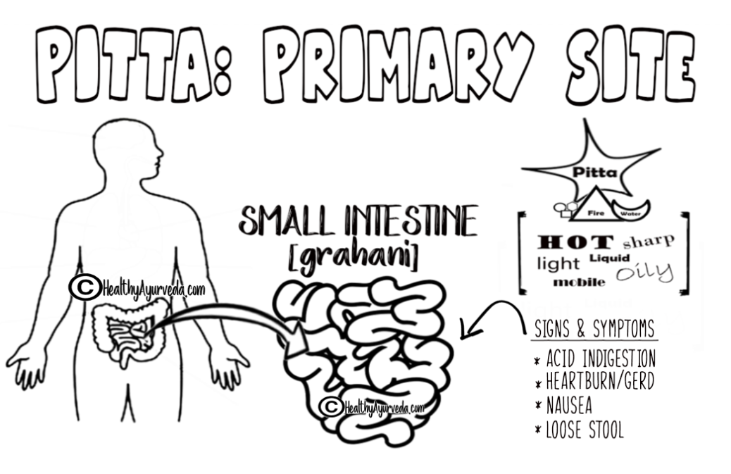 The Ayurveda Guide: Pitta Dosha - Healthy Ayurveda