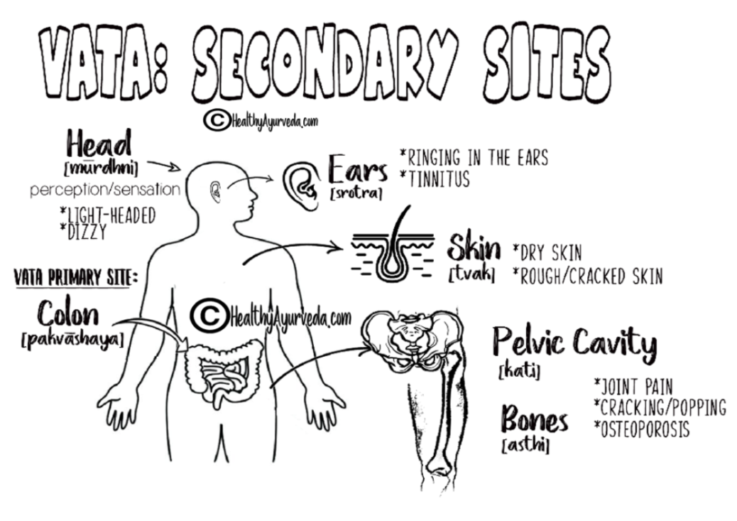 The Ayurveda Guide For Vata Dosha - Healthy Ayurveda