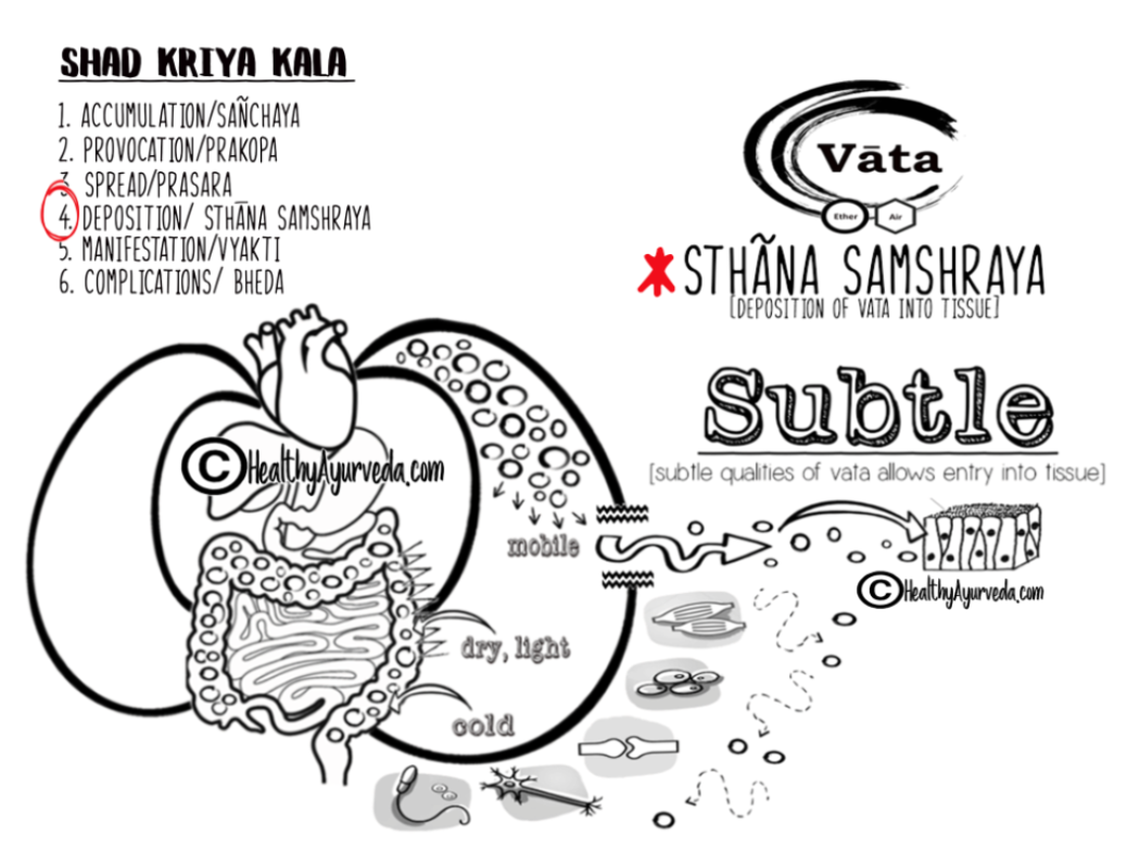 The Ayurveda Guide For Vata Dosha - Healthy Ayurveda