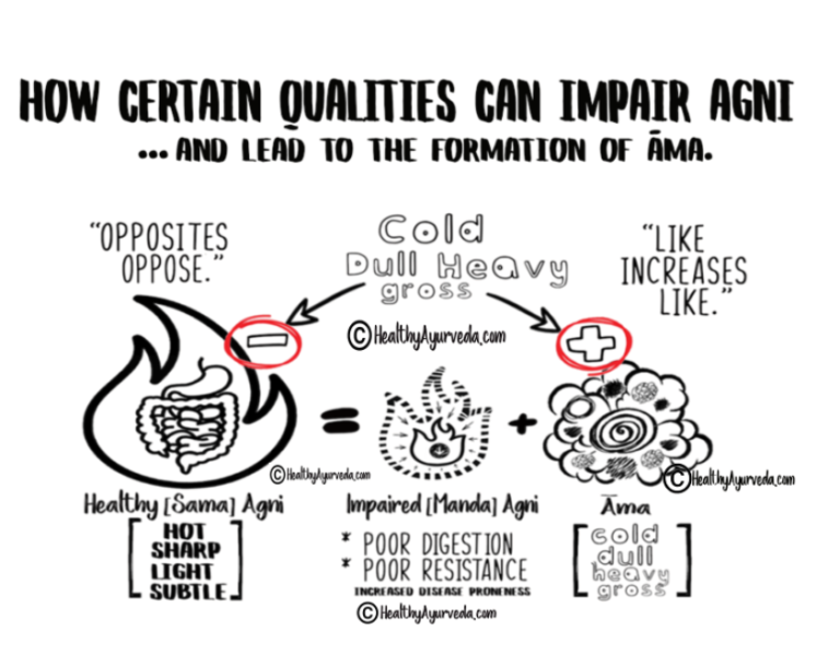 Ama ~ The Root Cause Of Disease According To Ayurveda - Healthy Ayurveda