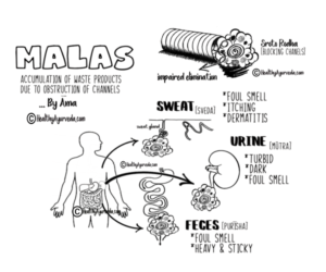 Ama ~ The Root Cause Of Disease According To Ayurveda - Healthy Ayurveda