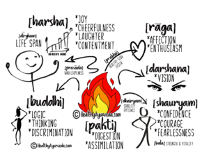 The Ayurveda Guide: Agni ... You Are Only As Healthy As Your Agni ...