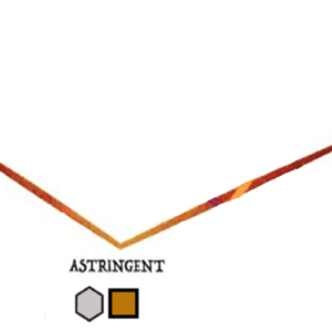 Digestion According To Ayurveda - Healthy Ayurveda